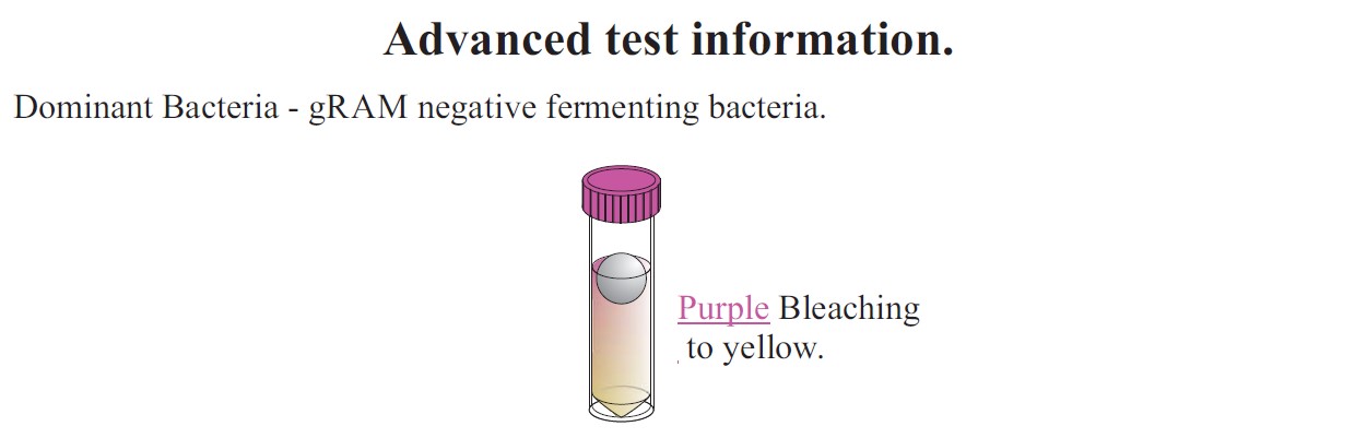 Acid Producing Bacteria APB BART Test Kit - Geoquip