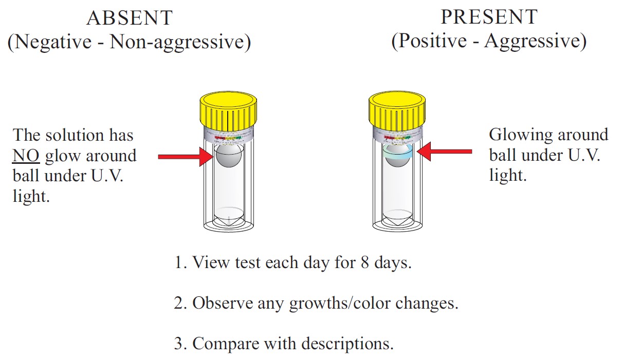 Fluorescent Psuedomonads FLOR Biological BART Test - Geoquip