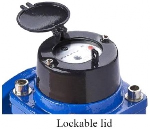 Tangential Paddle Irrigation Water Meter Type WT - Geoquip