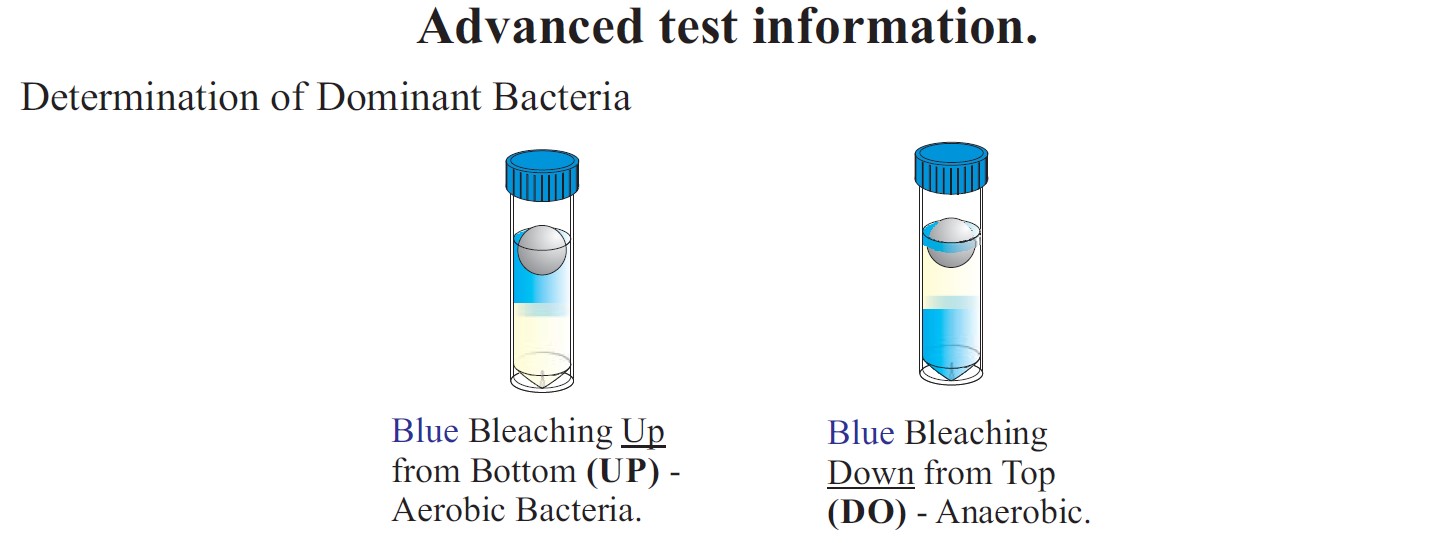 Bart Biological Activity Reaction Test at Enrique Branham blog